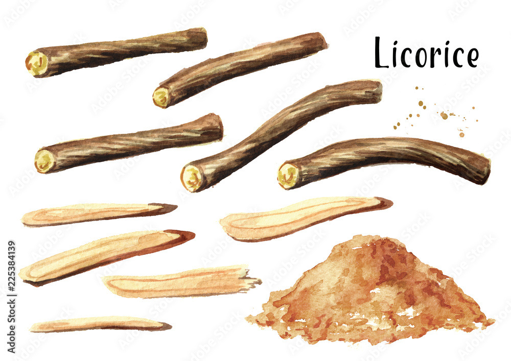 Licorice root set. Watercolor hand drawn illustration isolated on white ...
