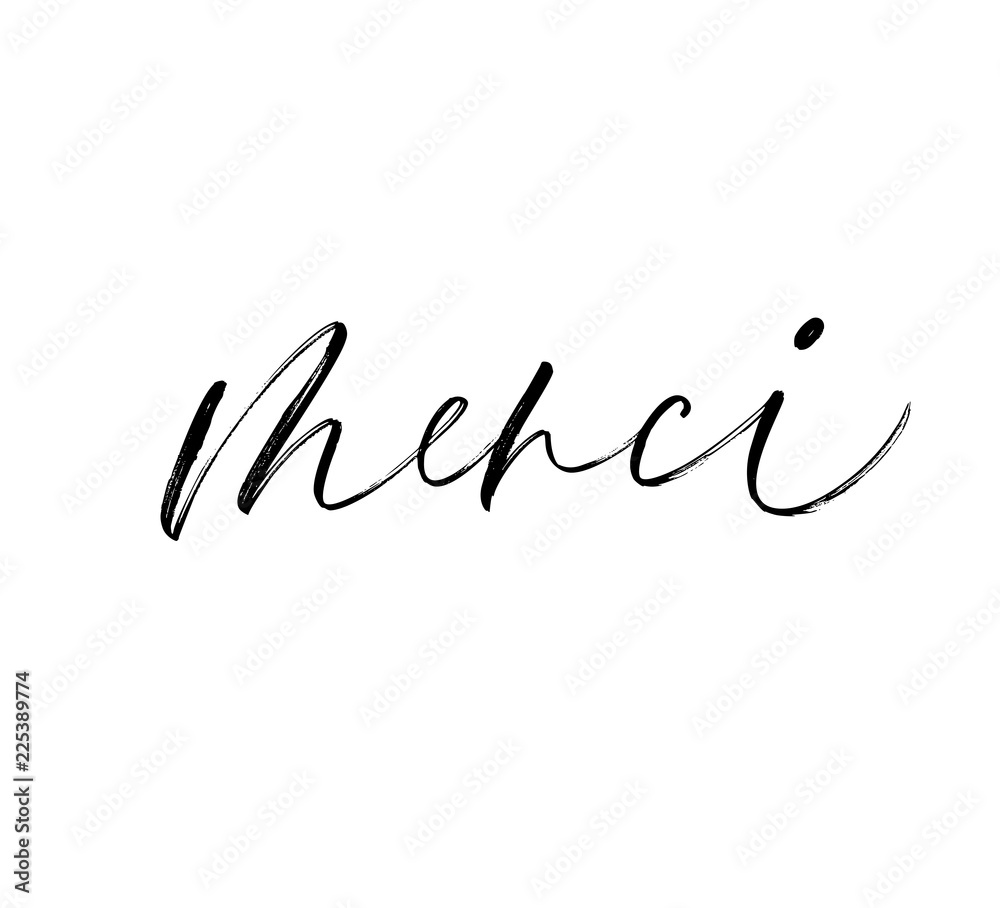 Merci phrase. Thank you in French. Modern vector brush calligraphy ...