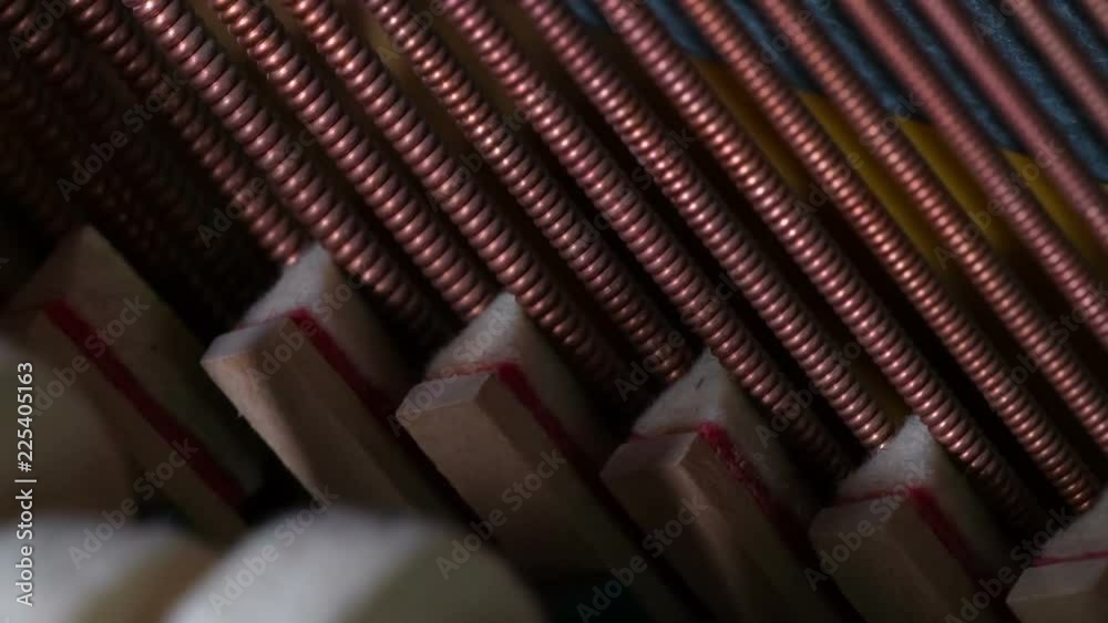 Trembling of Piano Strings. Piano hammers covered with soft felt ...