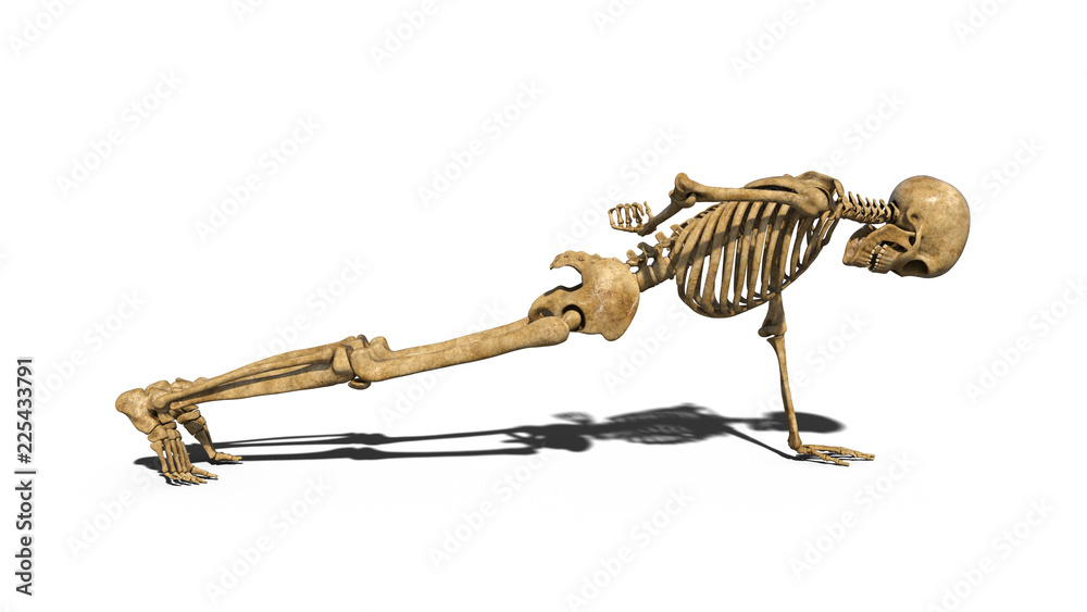 ภาพประกอบสต็อก Funny skeleton doing push-ups on one arm, human skeleton ...