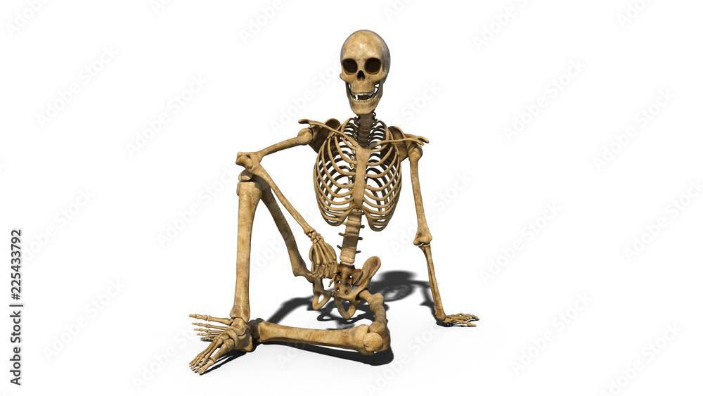 Funny skeleton sitting on ground and smiling, human skeleton isolated ...