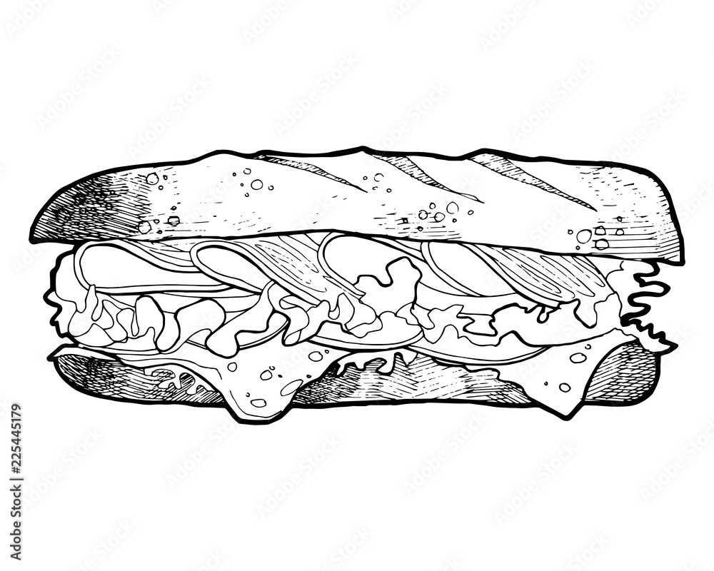 illustration of a sandwich. Hand drawn food illustration. Fast food ...