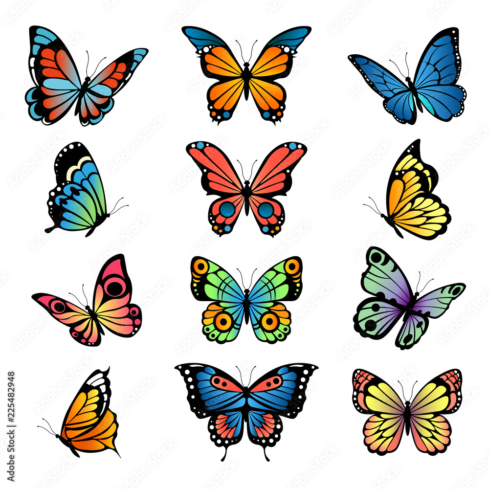 Various cartoon butterflies. Set vector illustrations of butterflies ...