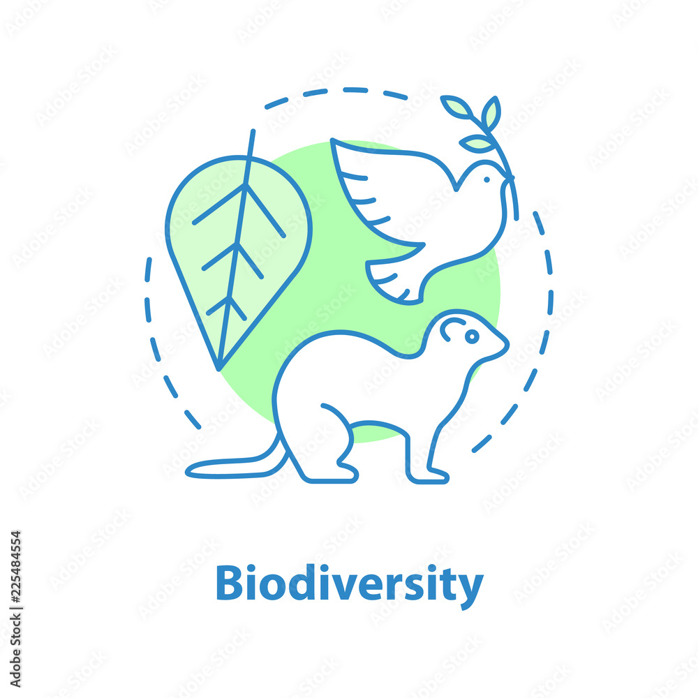 Biodiversity concept icon Stock Vector | Adobe Stock