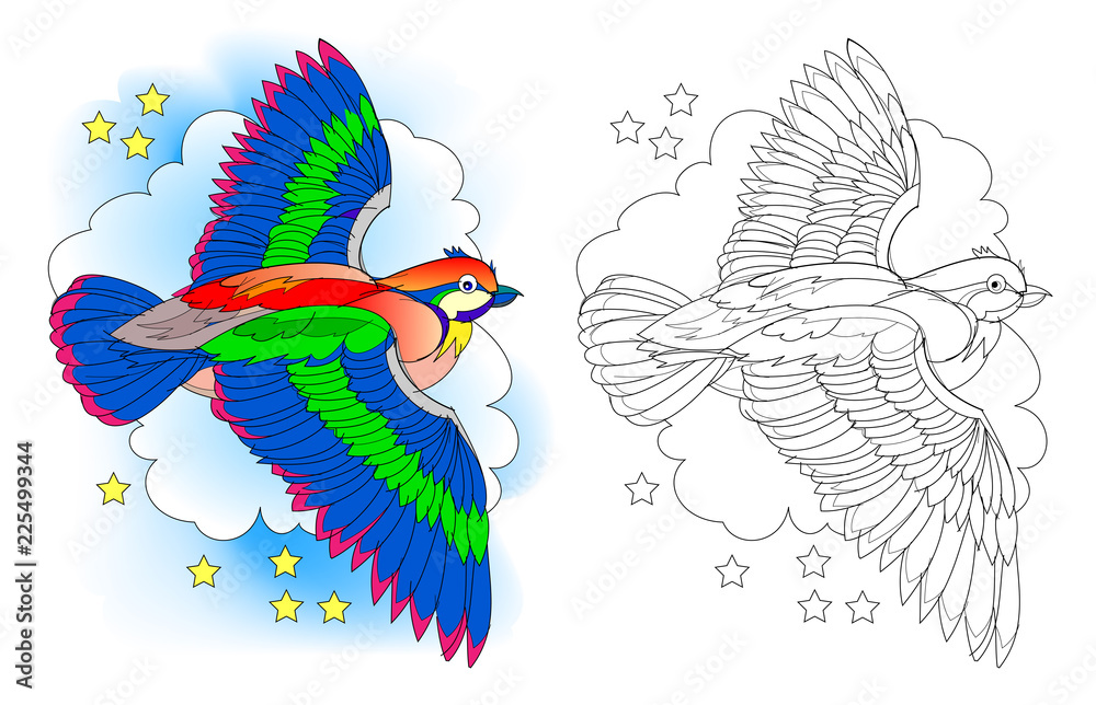Fantasy illustration of fairyland flying bird. Colorful and black and ...