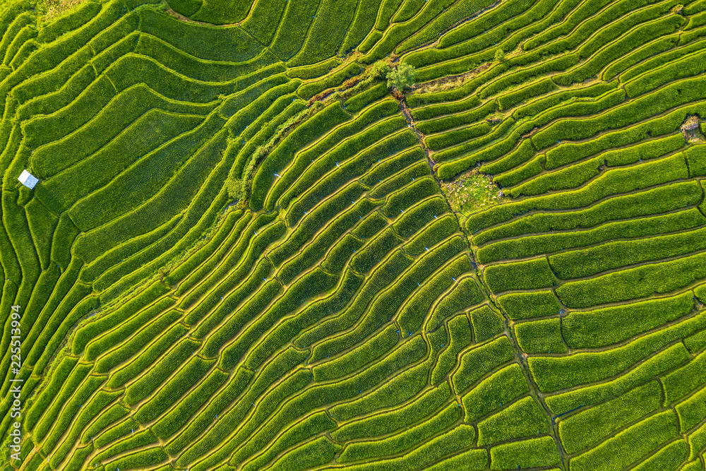 Small house and rice terraces field at pabongpaing village rice ...
