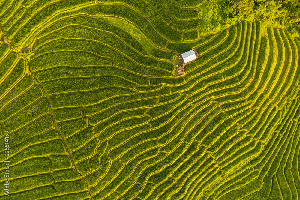 Small house and rice terraces field at pabongpaing village rice ...