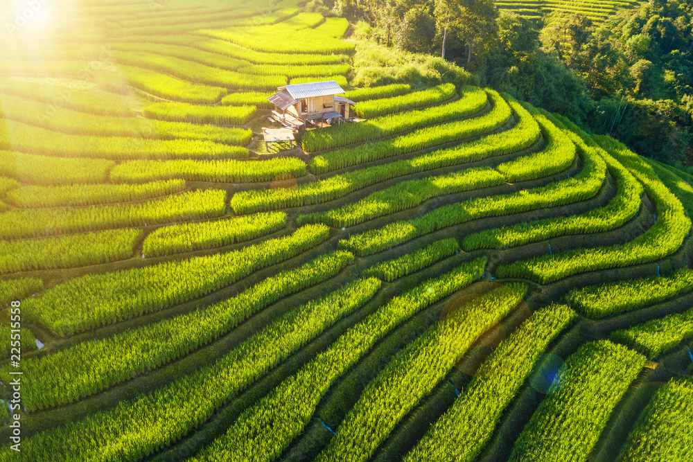Small house and rice terraces field at pabongpaing village rice ...