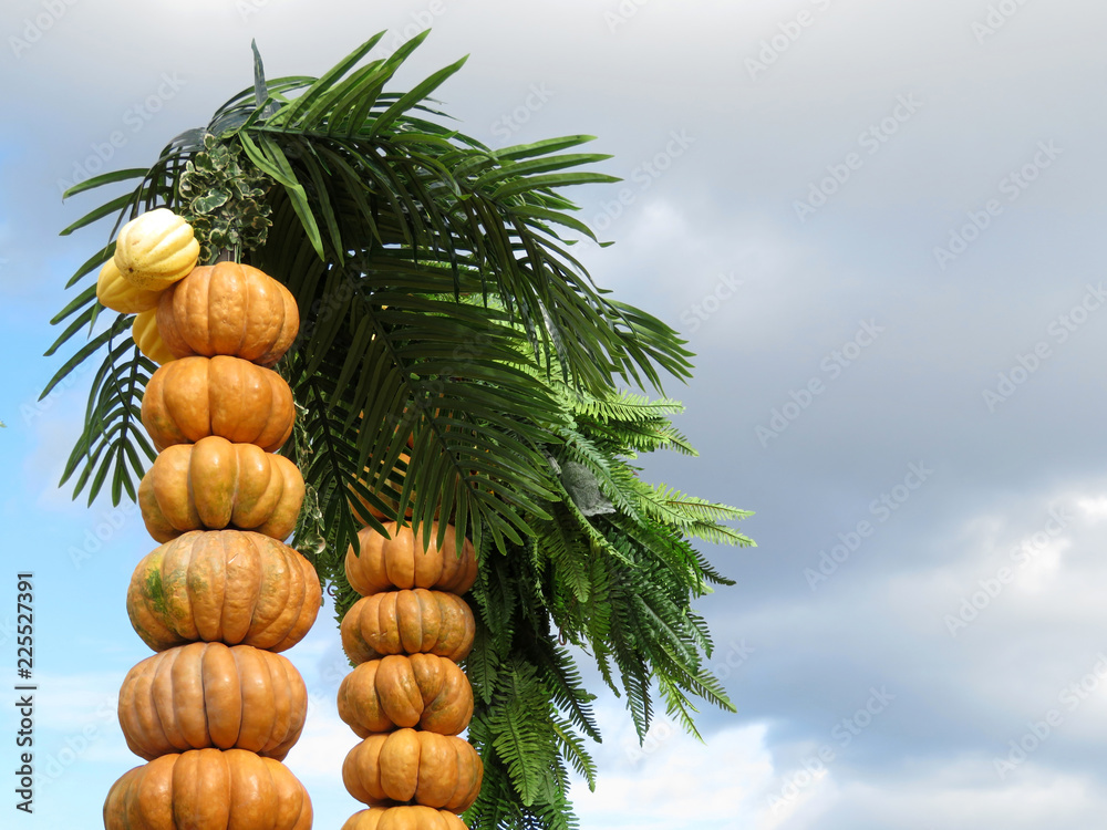 Palm trees made of fresh pumpkins against a blue sky and clouds. Autumn ...