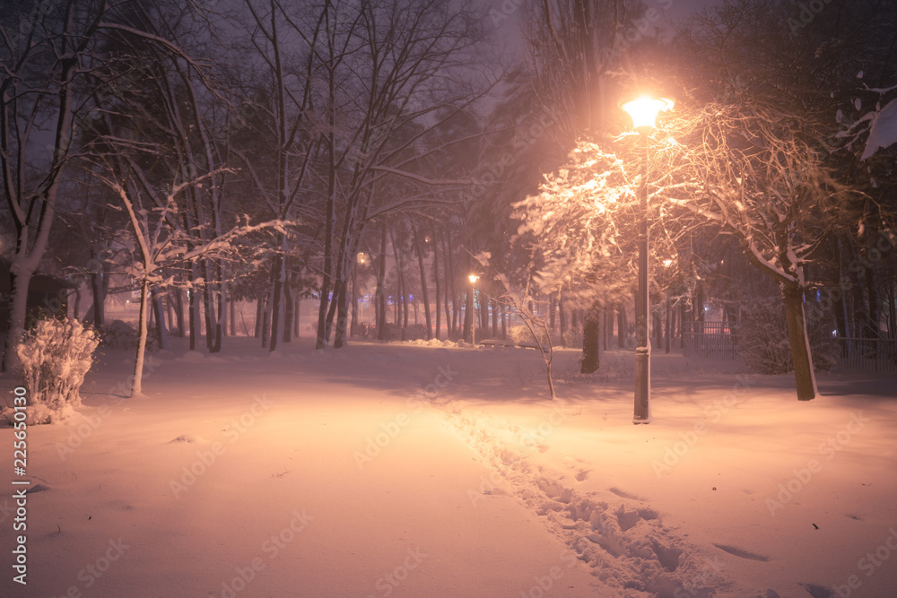 Snowy Park Night Setting