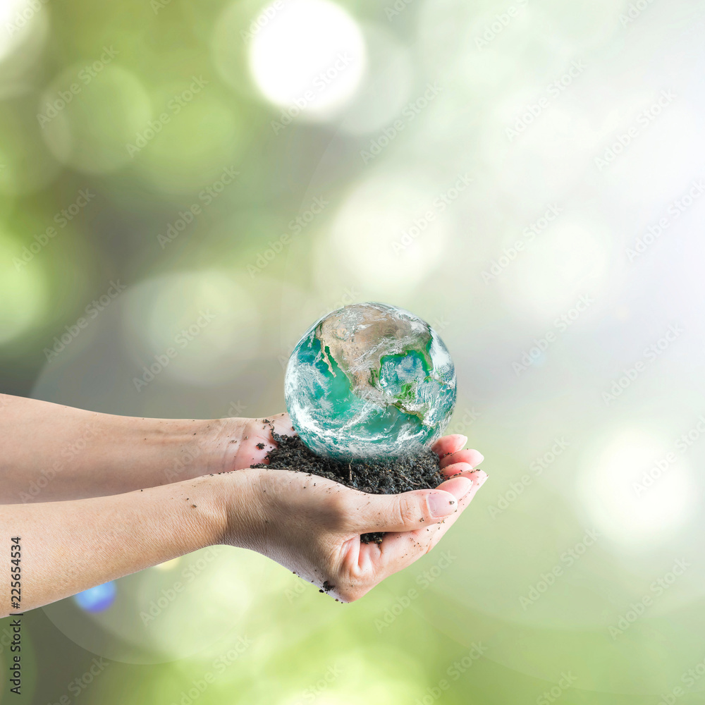 World environment and world soil day concept: Elements of this image ...