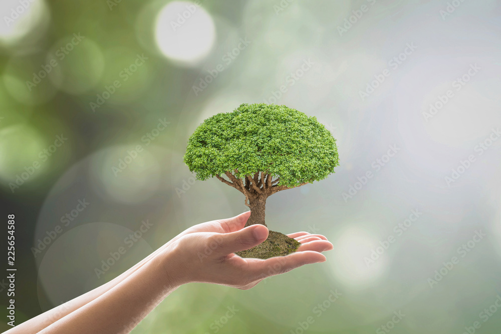 Sustainable environment, saving environmental ecosystem of forest, and ...