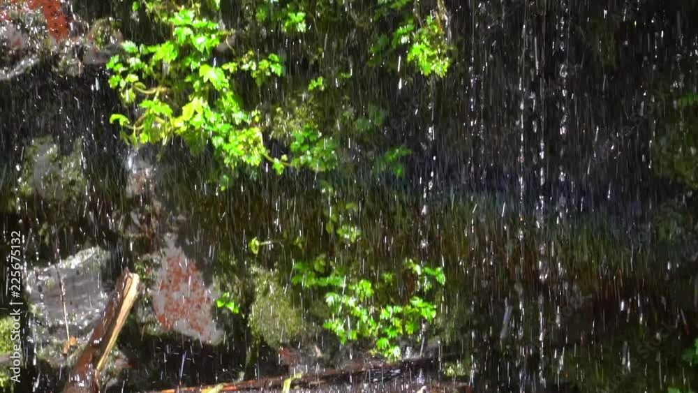 andean,andes,bright,cascade,cliff,cloudforest,drip,drop,ecuador,fall ...
