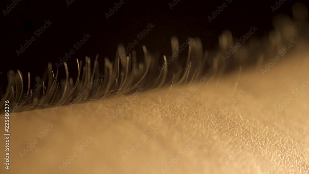 Goose Bumps 4k Stock Video | Adobe Stock