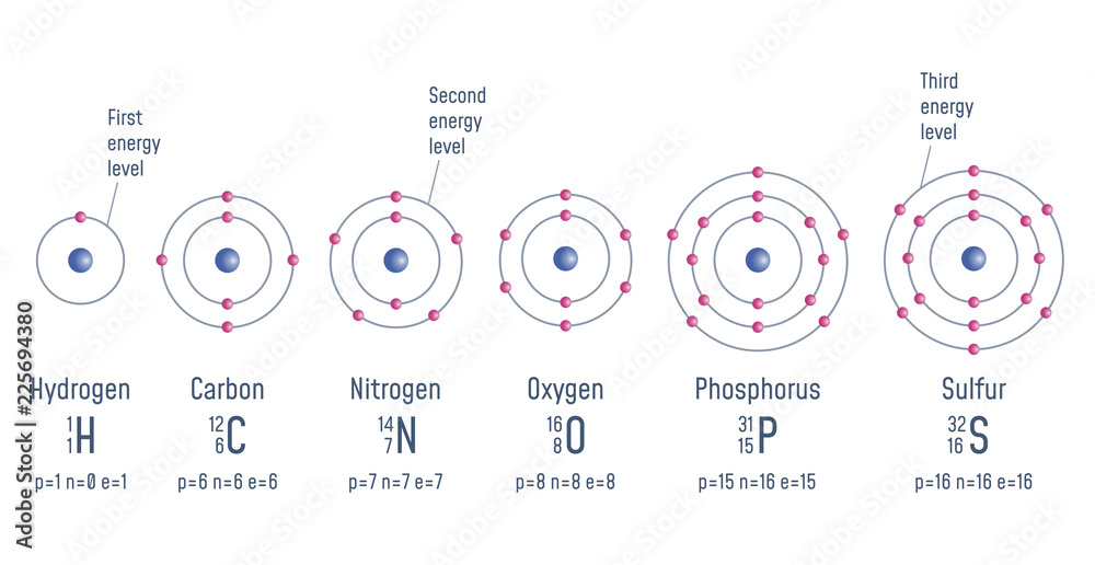 Structure of an Atom Stock Vector | Adobe Stock