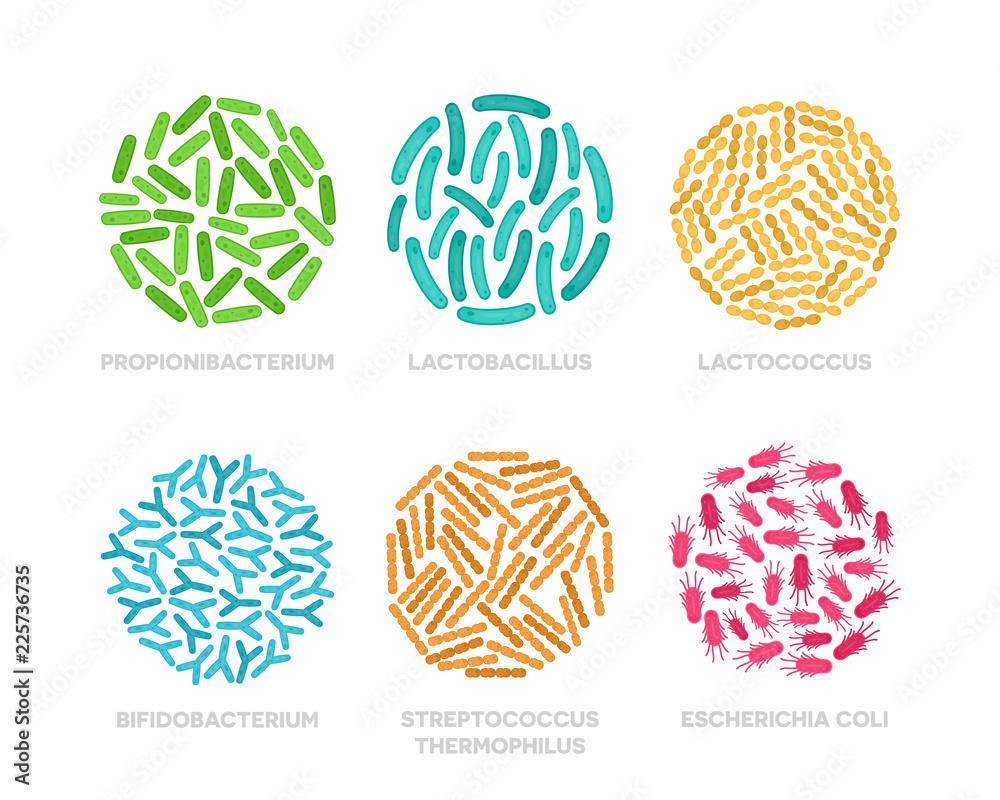 Set of probiotic bacteria in a circle. Good microorganisms colorful concept isolated on white ...