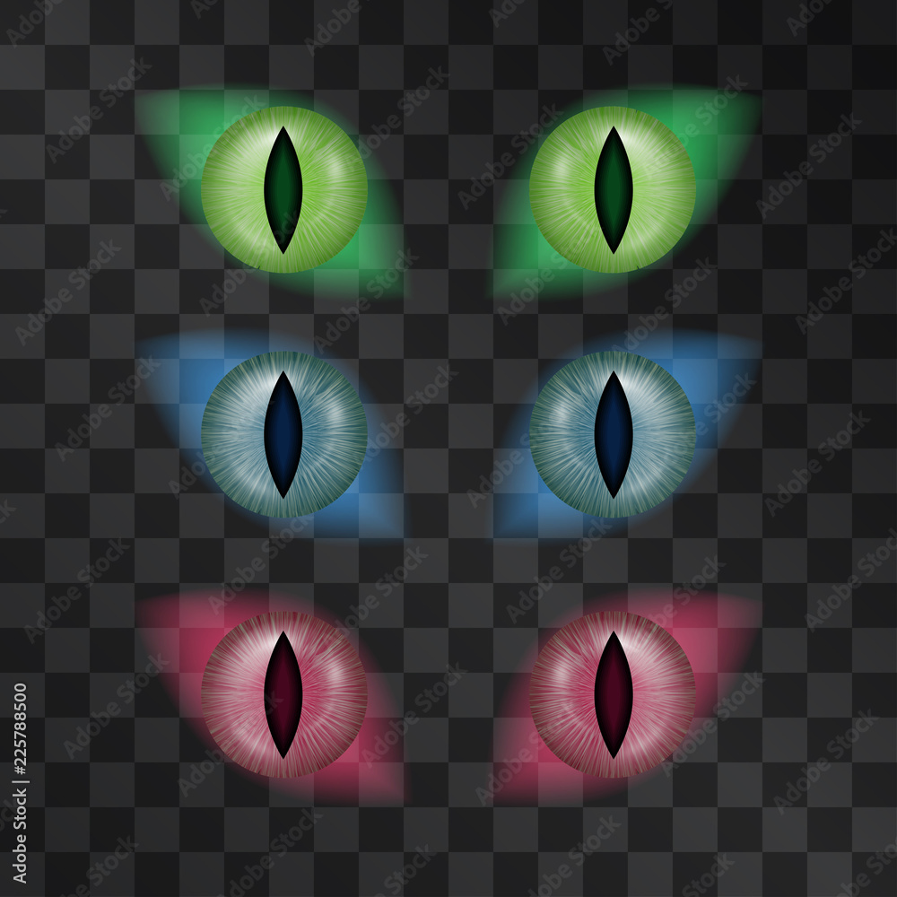 Predator cat eyes banner on transparent background. Evil look of a ...