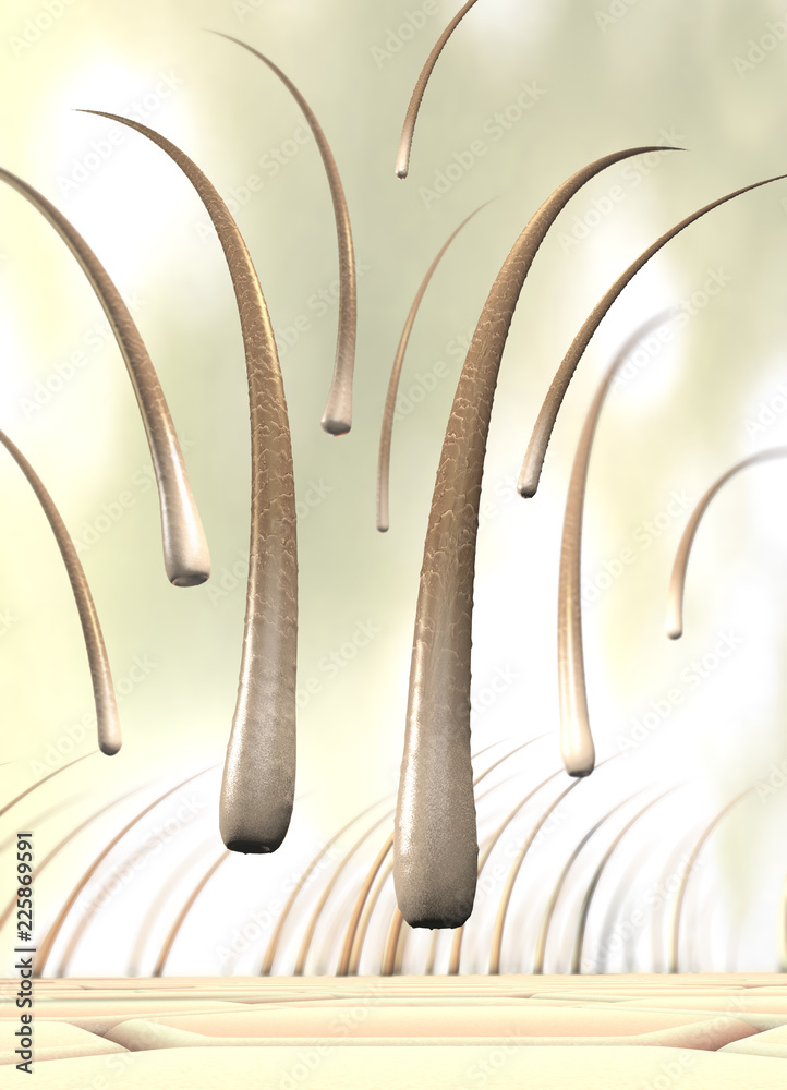 3d illustration of several falling hairs that detach from the skin ...