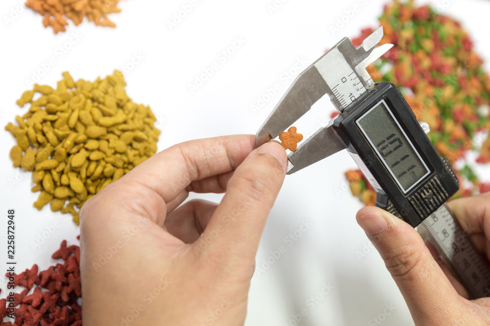 Measuring cat food kibble by vernier caliper. The hand of the quality ...