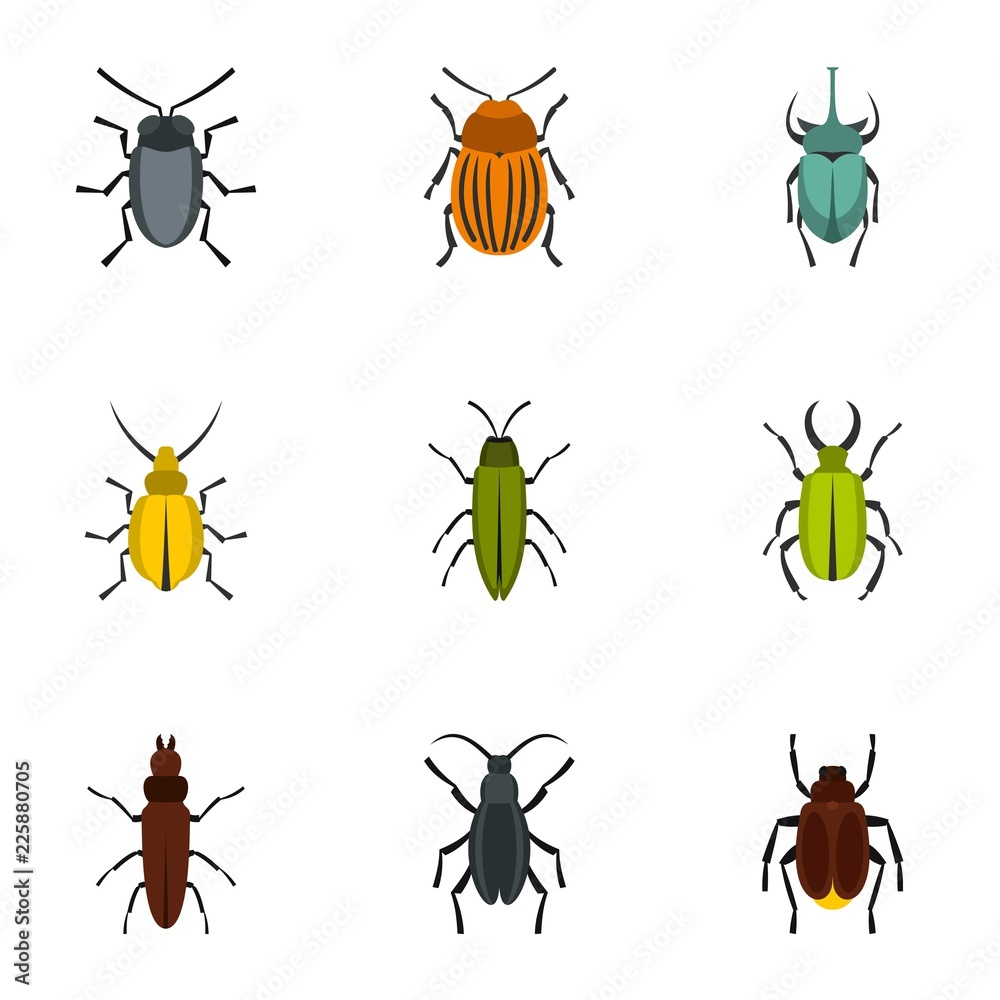Beetle icons set. Flat illustration of 9 beetle vector icons for web Stock Vector | Adobe Stock