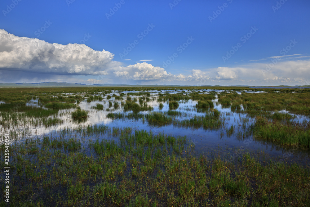 Flower Lake in Aba, Sichuan Province, China. HuaHu, Zoige Marsh ...