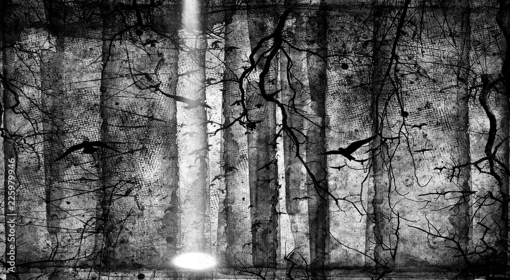 Dead Trees Forest Black And White