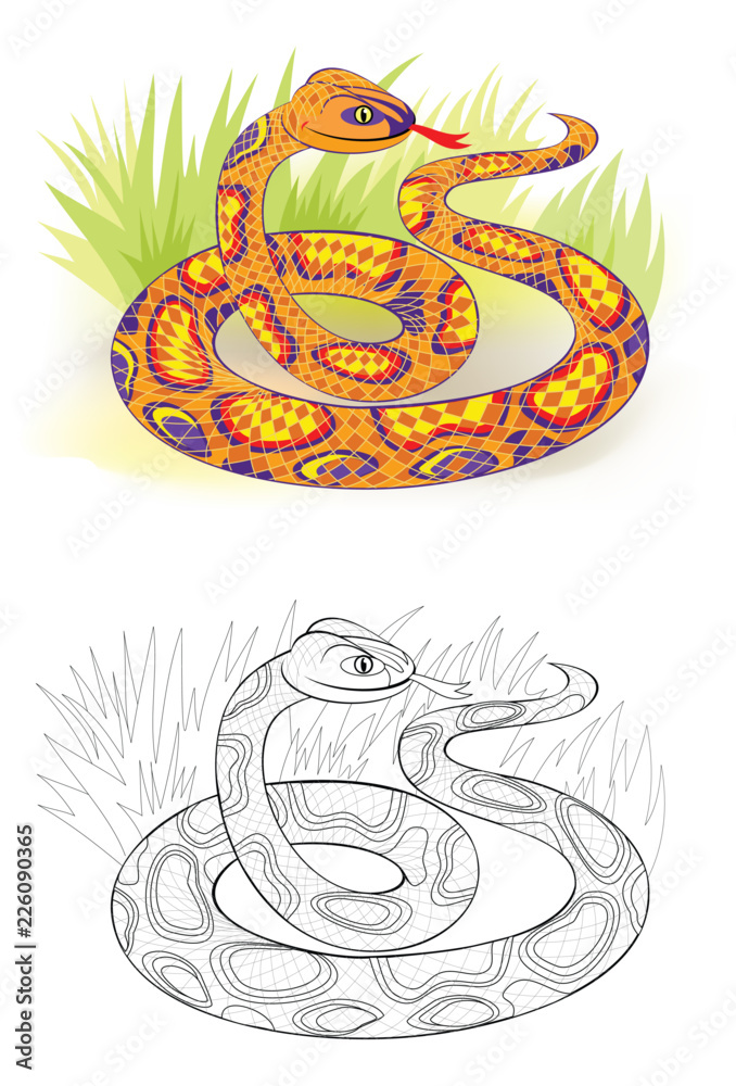 Fantasy illustration of fairyland royal python. Colorful and black and ...