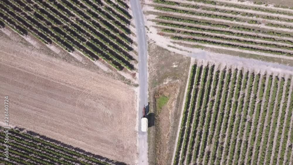 Horse and Carriage Moving Along Trail From Behind in Agricultural Area ...