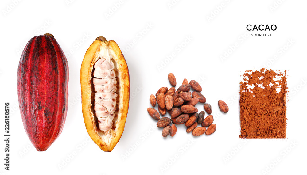 Creative layout made of cacao powder, cacao fruit and cacao beans on ...