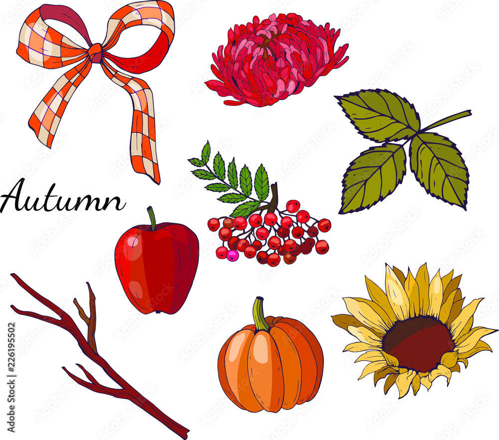 Autumn objects for design purposes, isolated Stock Vector | Adobe Stock