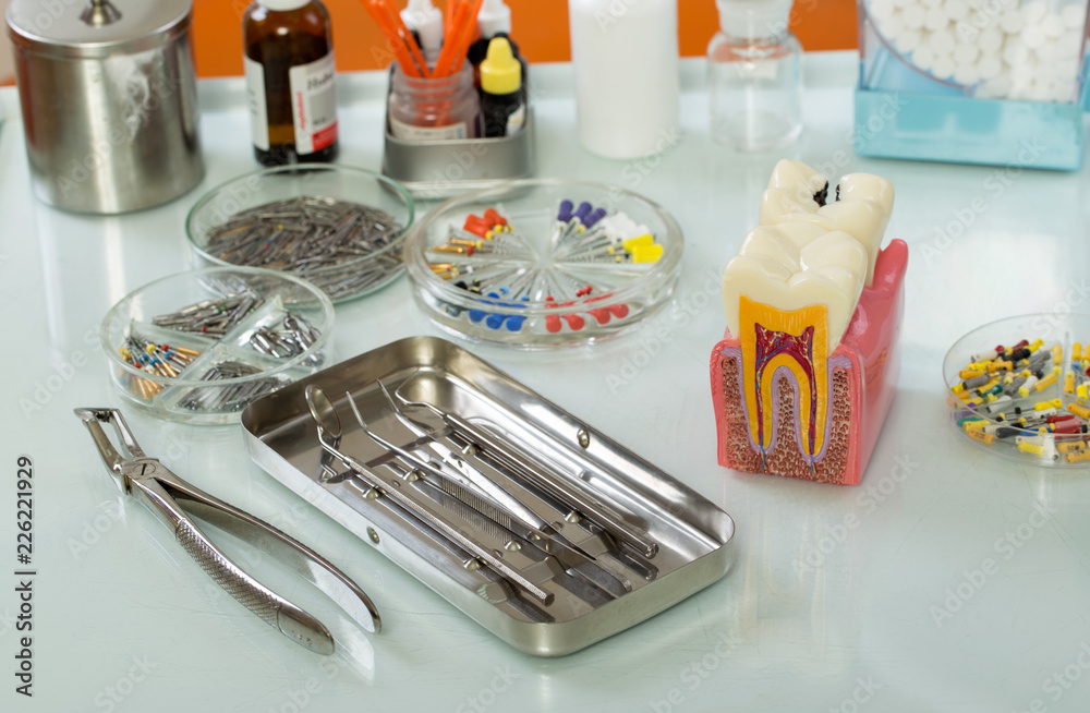 tooth anatomy (vital tooth, structure, bone, ligament) Stock Photo ...