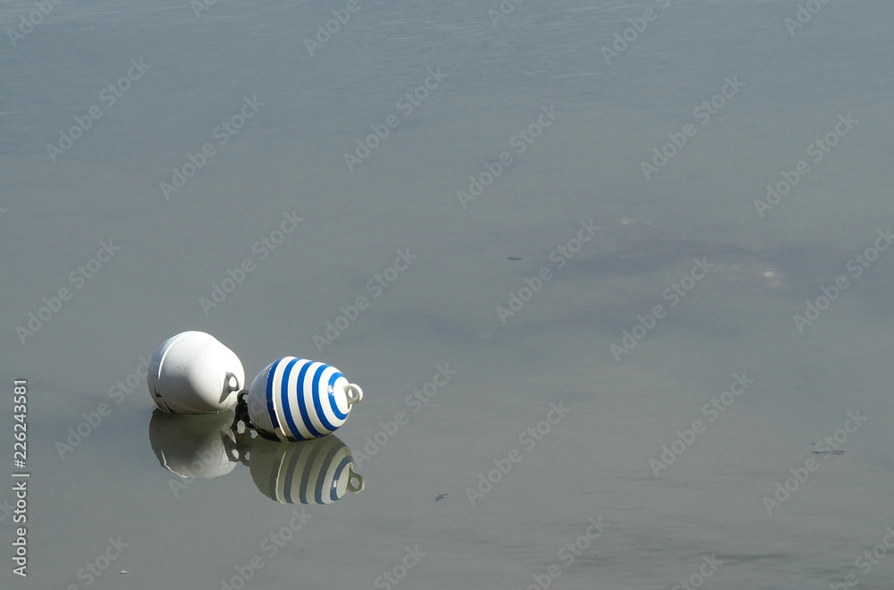 Boyas y su reflejo Stock Photo | Adobe Stock