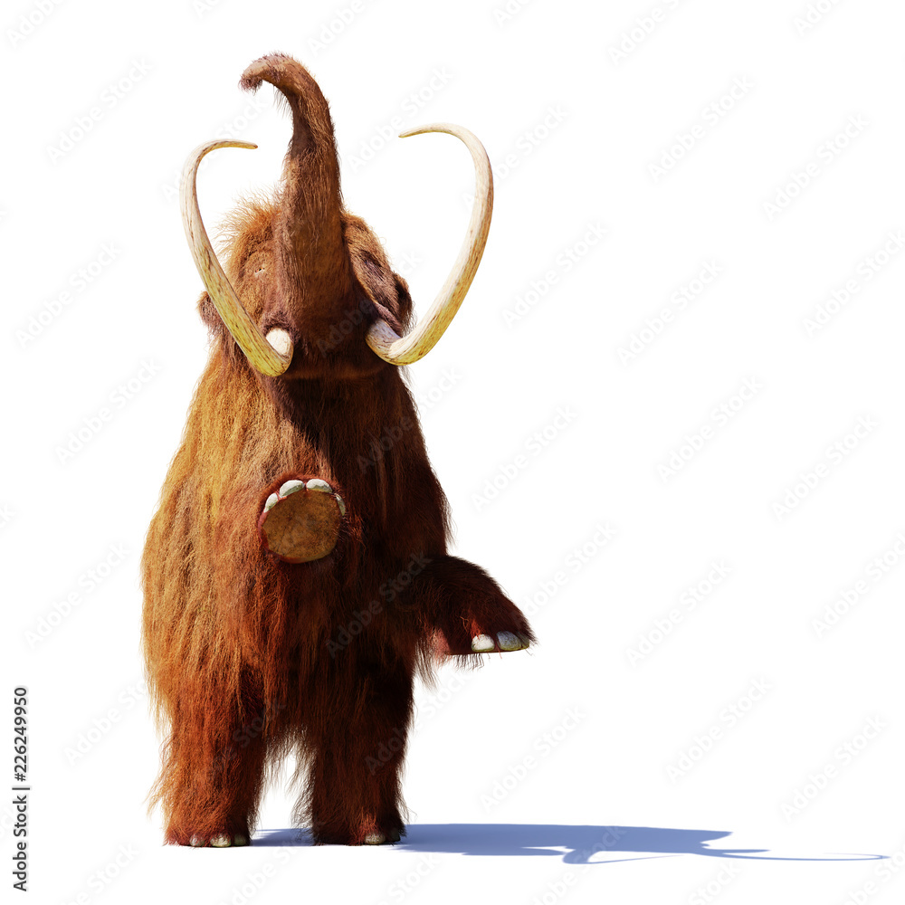 Poster woolly mammoth standing on two legs, prehistoric mammal isolated ...