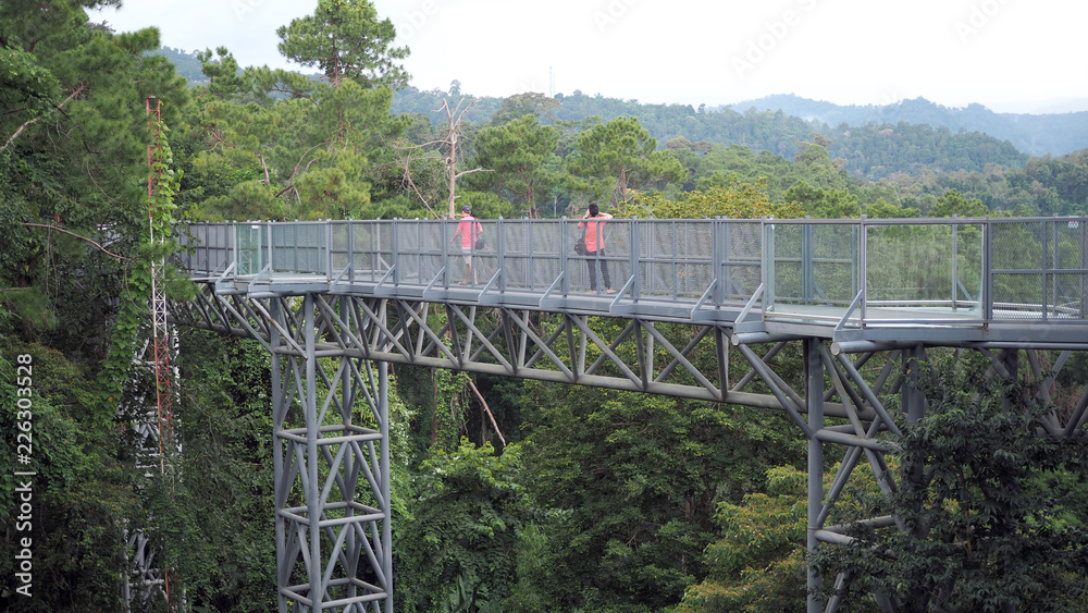 Canopy walks to explore nature. Canopy walks at Queen sirikit botanic ...
