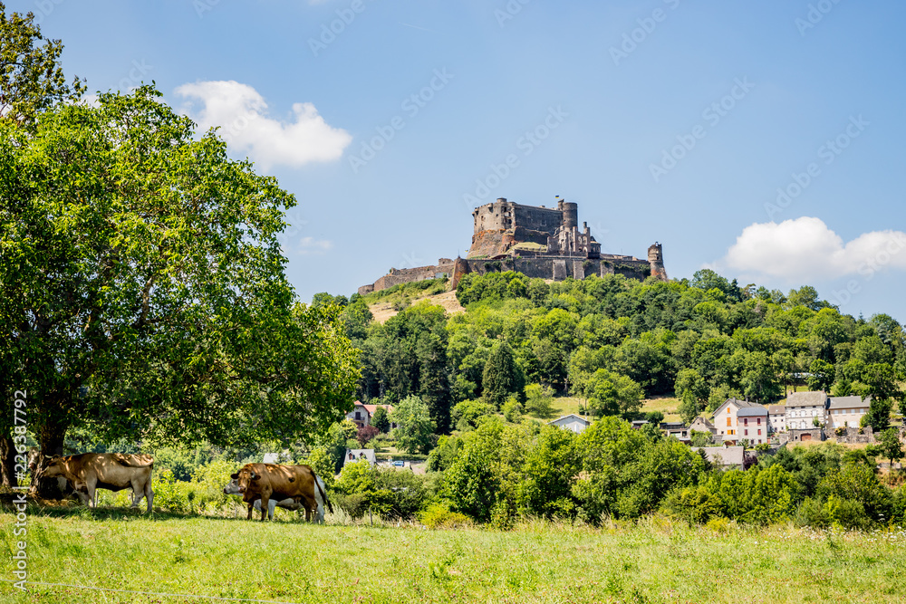 Le Château de Murol Stock Photo | Adobe Stock