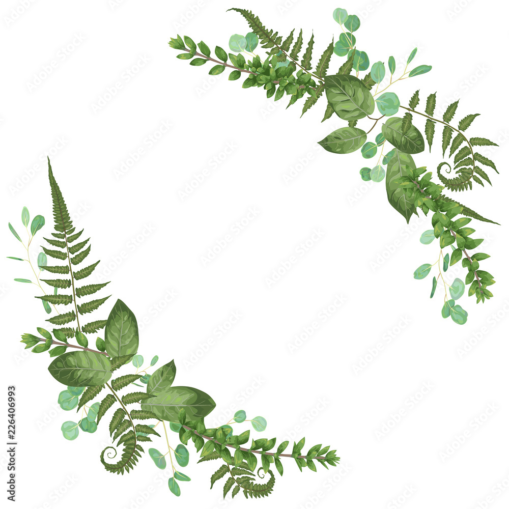 Vector floral bouquet design: set green forest fern, branches boxwood ...