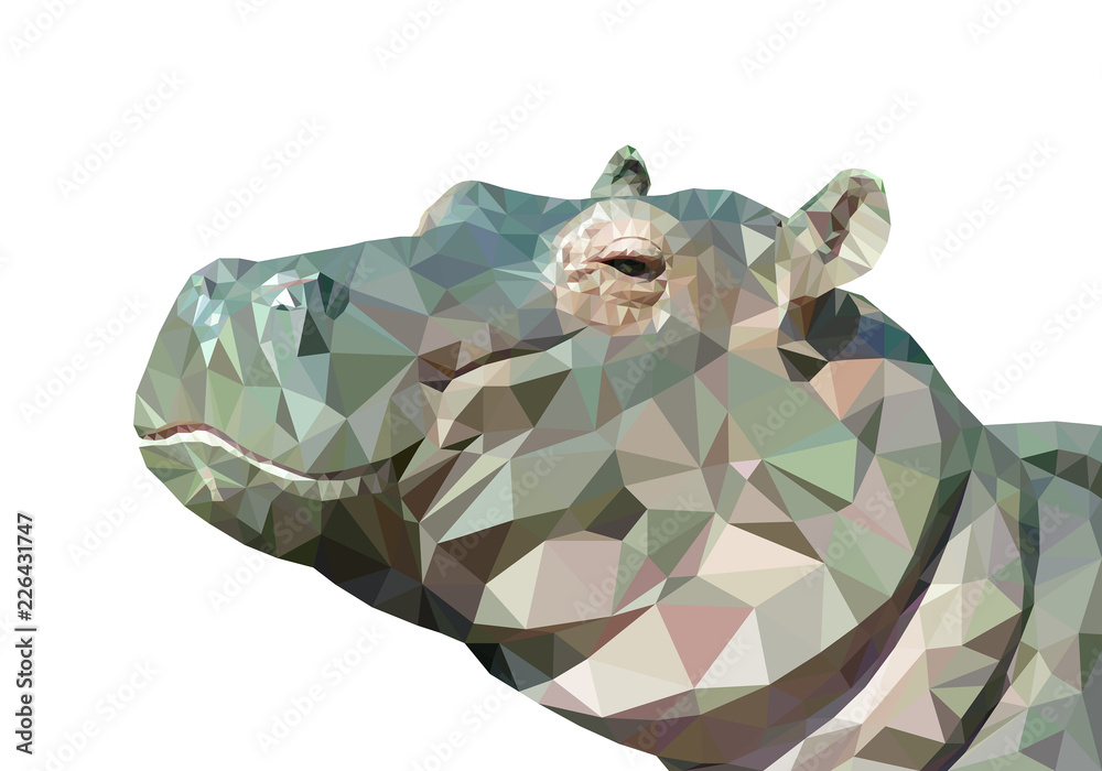 Vector illustration of low poly hippo. Geometric polygonal hippo ...