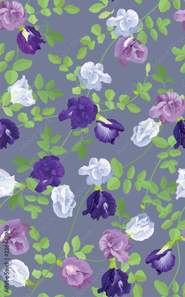 Seamless pattern of butterfly pea flowers in blue, white, purple color ...