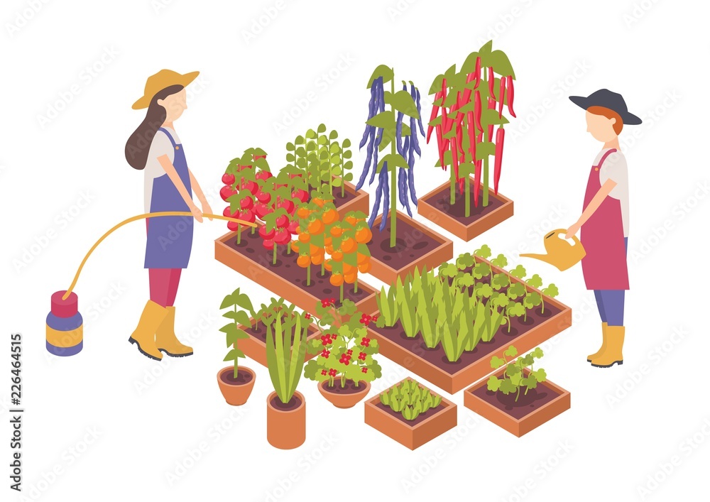 Ag Planting Cartoon Clip Art