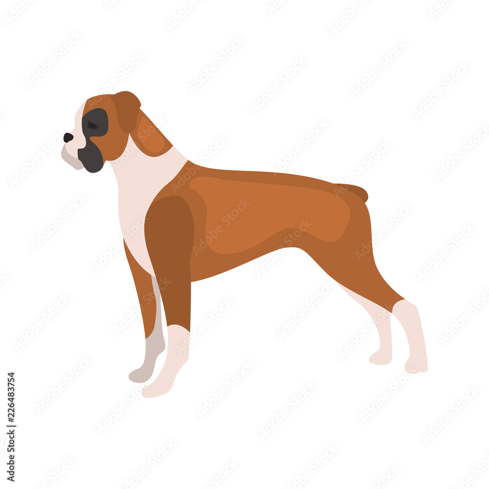 Boxer dog color vector icon. Flat design Stock Vector | Adobe Stock