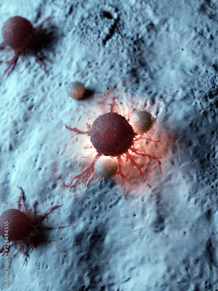 3d rendered medically accurate illustration of a cancer cell being ...