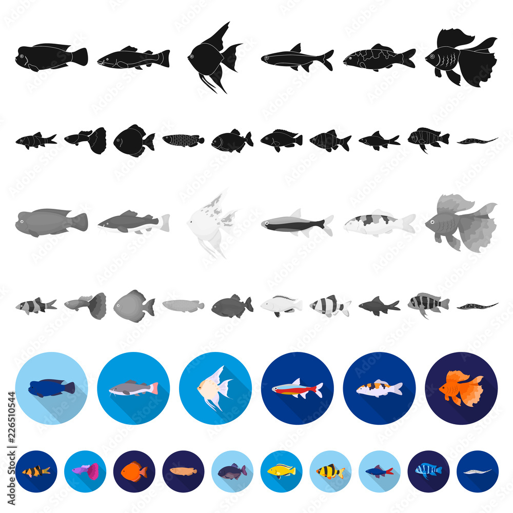 Different types of fish flat icons in set collection for design. Marine ...
