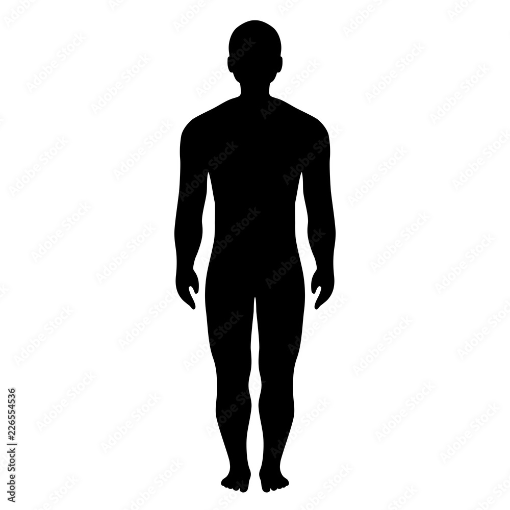 Human male body vector illustration Stock Vector | Adobe Stock