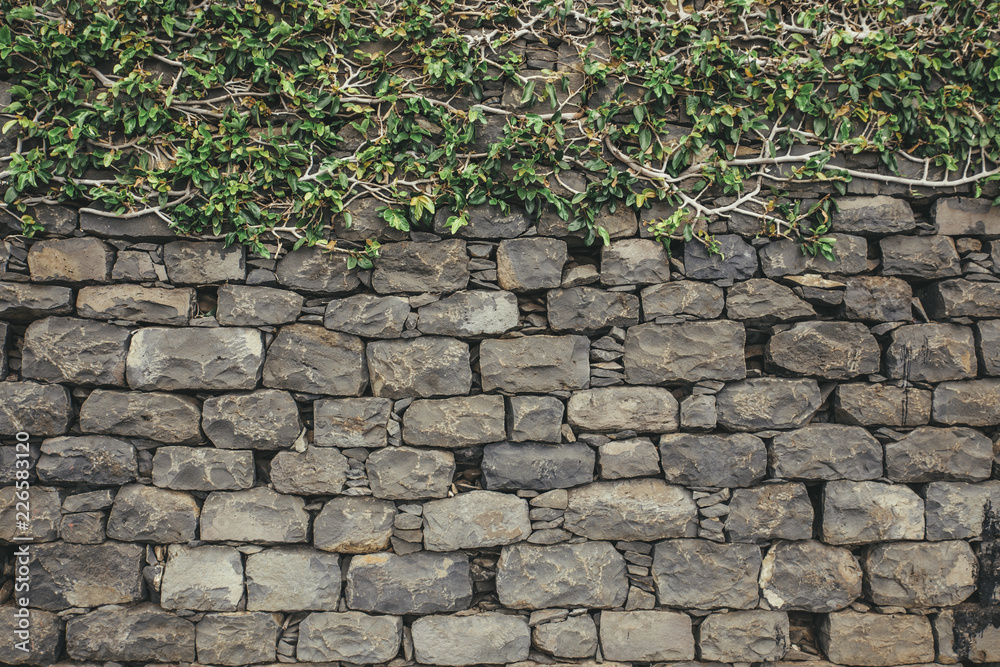 Wall made out of uneven volcanic rock bricks, top edge has branches and ...
