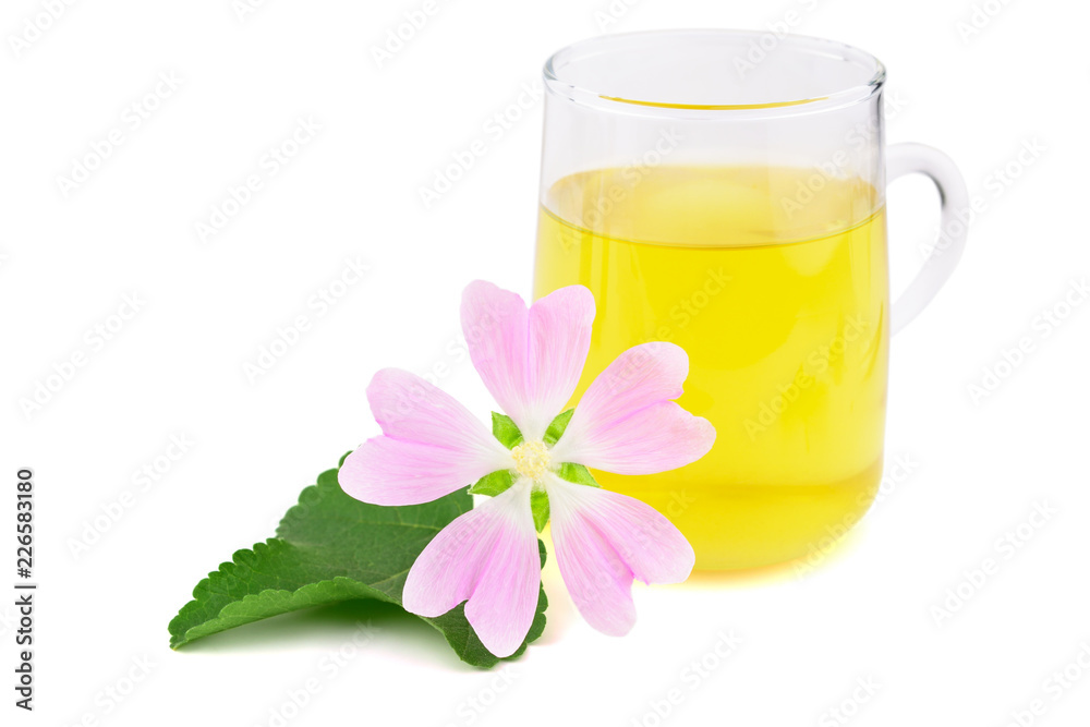 Althaea Officinalis Medicinal Herb Plant Tea or Extract in a Glass Cup ...