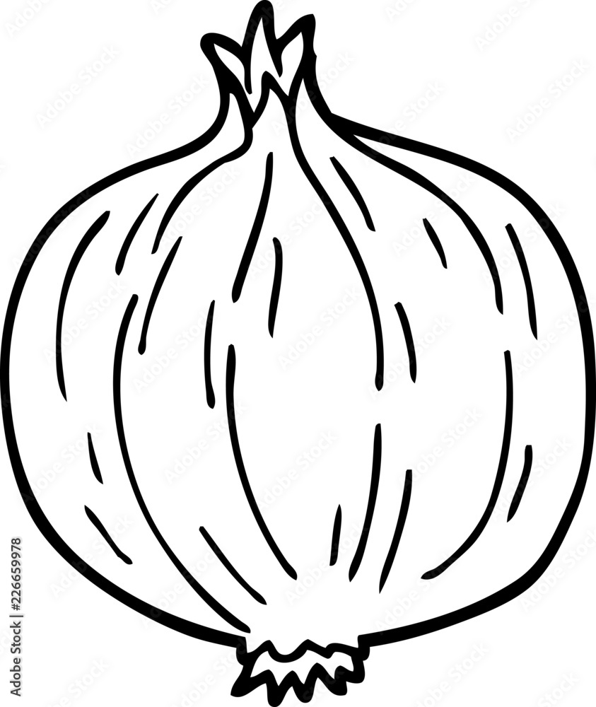 Onion Drawing