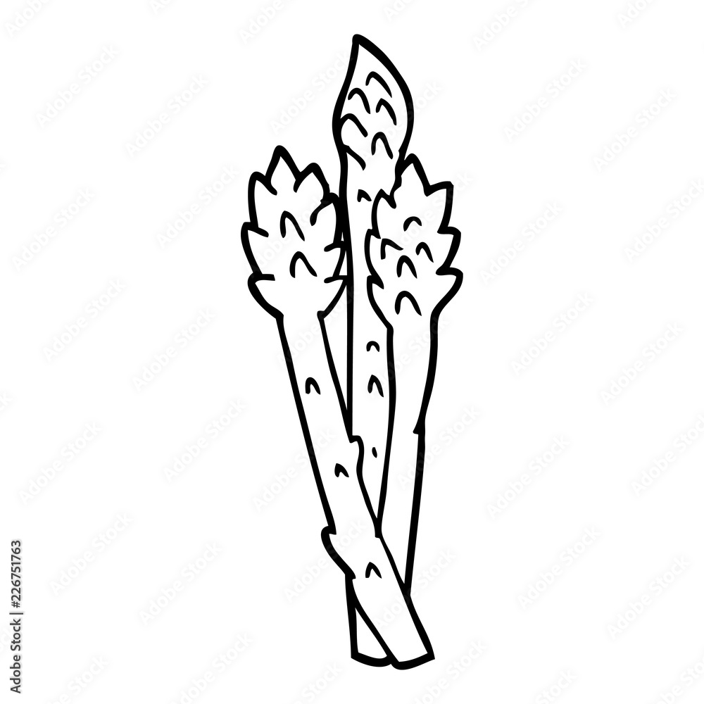 Asparagus Plant Drawing