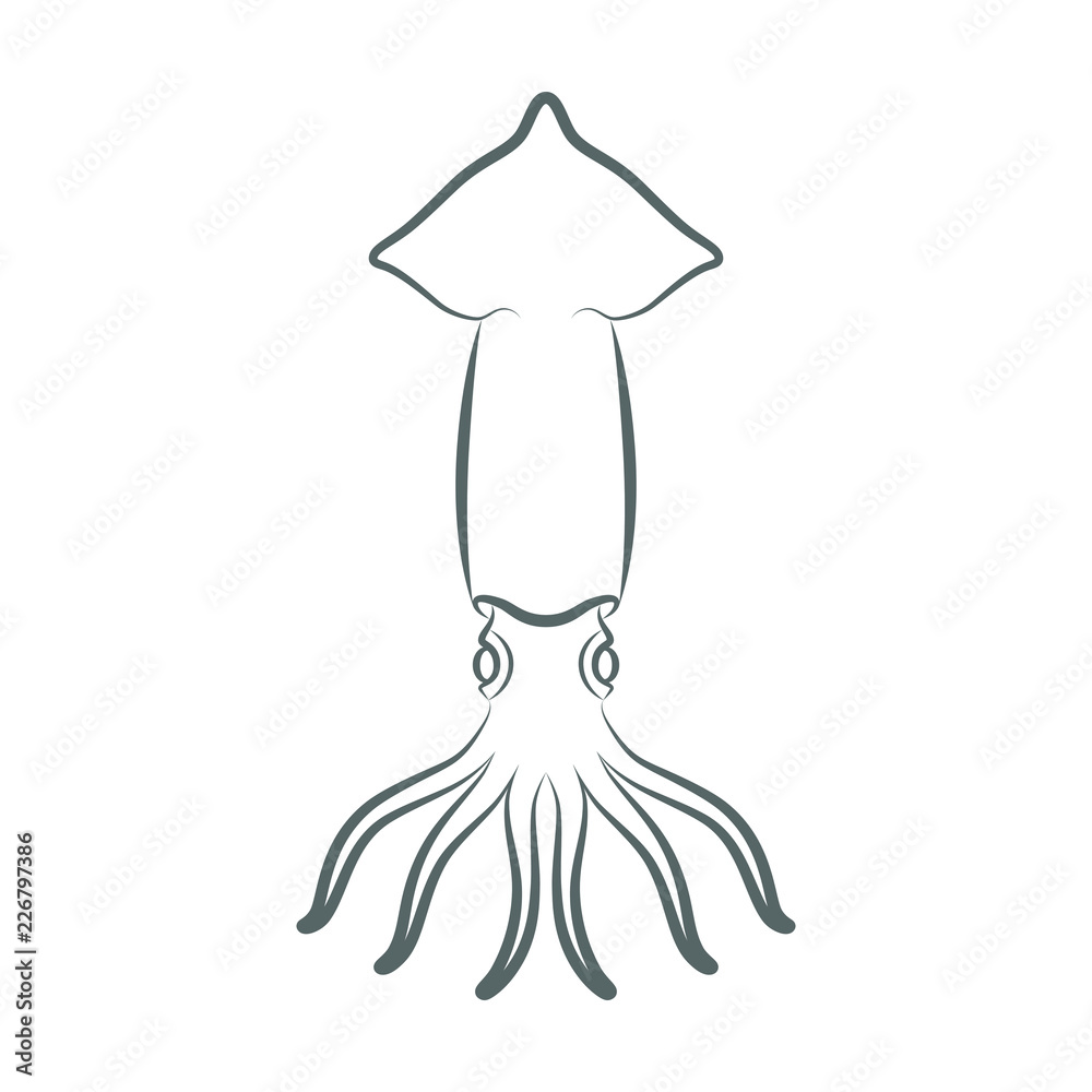 Sign squid. Symbol squid Isolated on white background. Logo squid ...