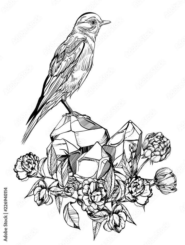 bird and crystals. Detailed drawing of a bird. Vector illustration ...