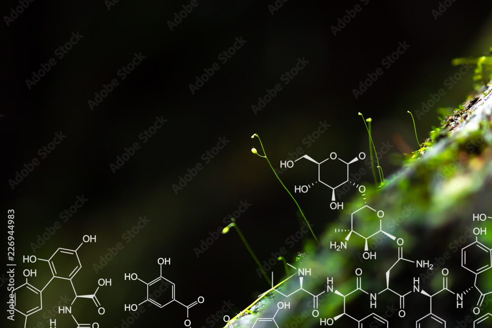 Plants background with biochemistry structure. Stock Photo | Adobe Stock